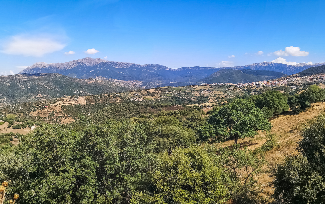 San Teodoro e dintorni: le migliori escursioni da fare al Veraclub Amasea - Veratour